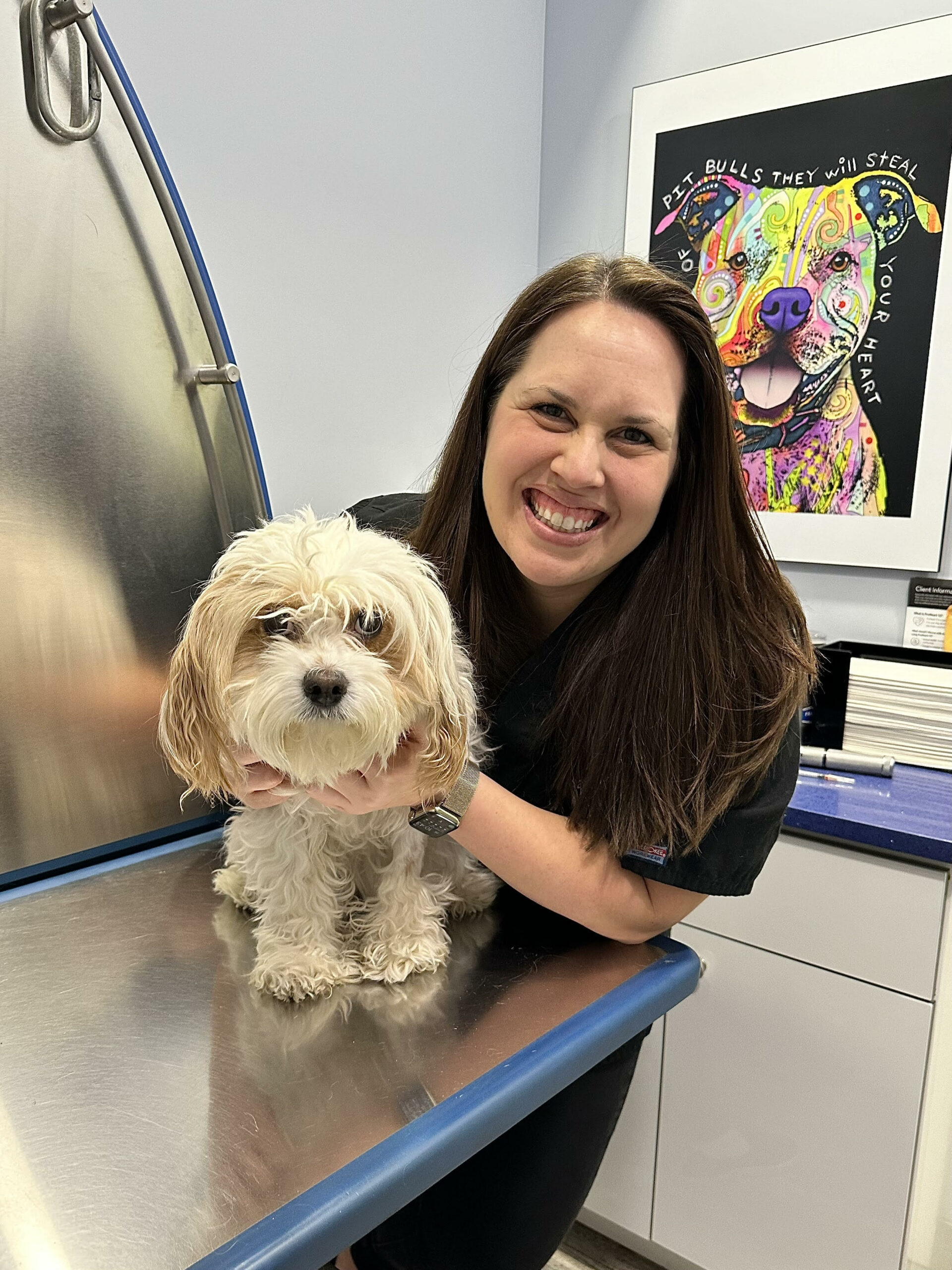 Staten Island, NY Vets - Animal Health Veterinary Group