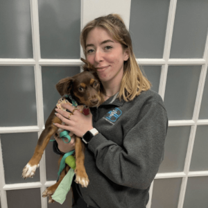 Rachel - Animal Health Group