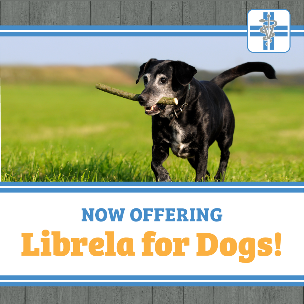 Librela - Animal Health Group